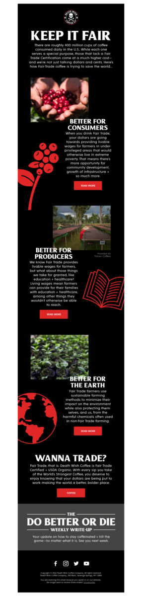 Newsletter Examples: What Makes a Good Newsletter in 2024?