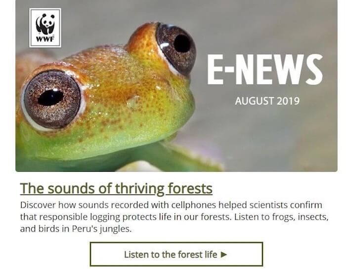 Newsletter Examples: What Makes a Good Newsletter in 2022?