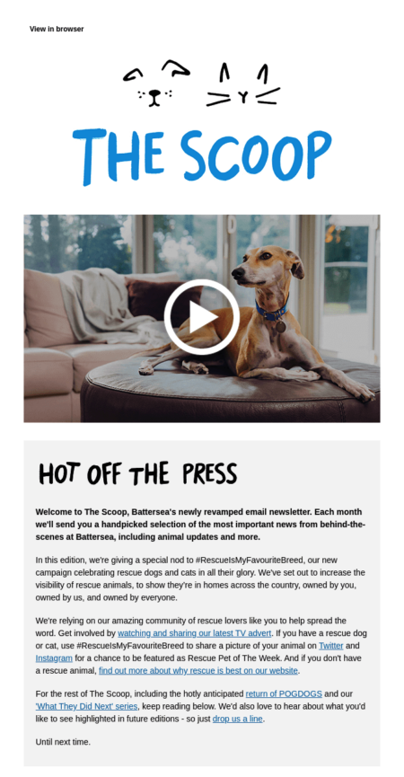 What is a Newsletter? Definition, examples and best practices