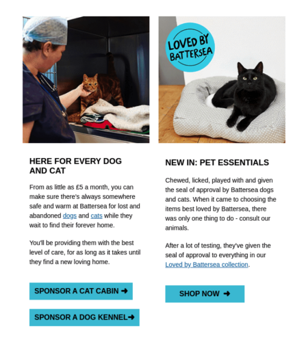 What is a Newsletter? Definition, examples and best practices