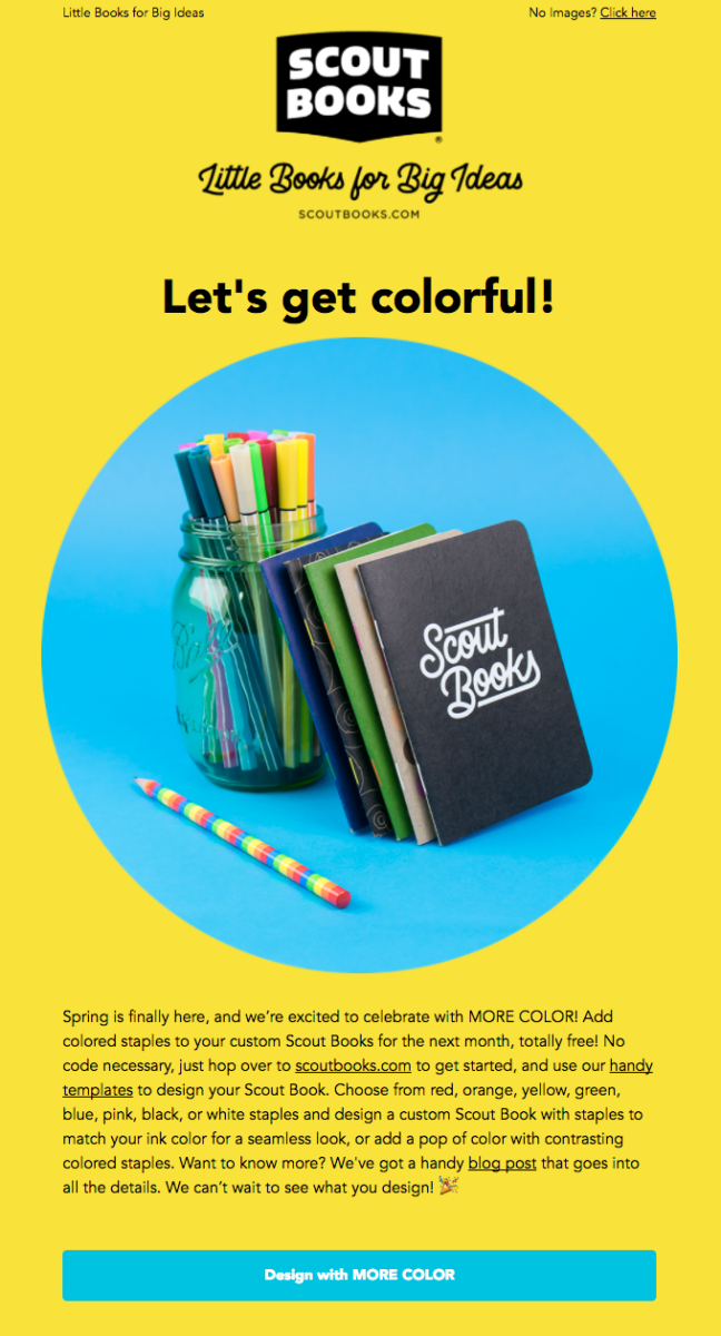 What is a Newsletter? Definition, examples and best practices