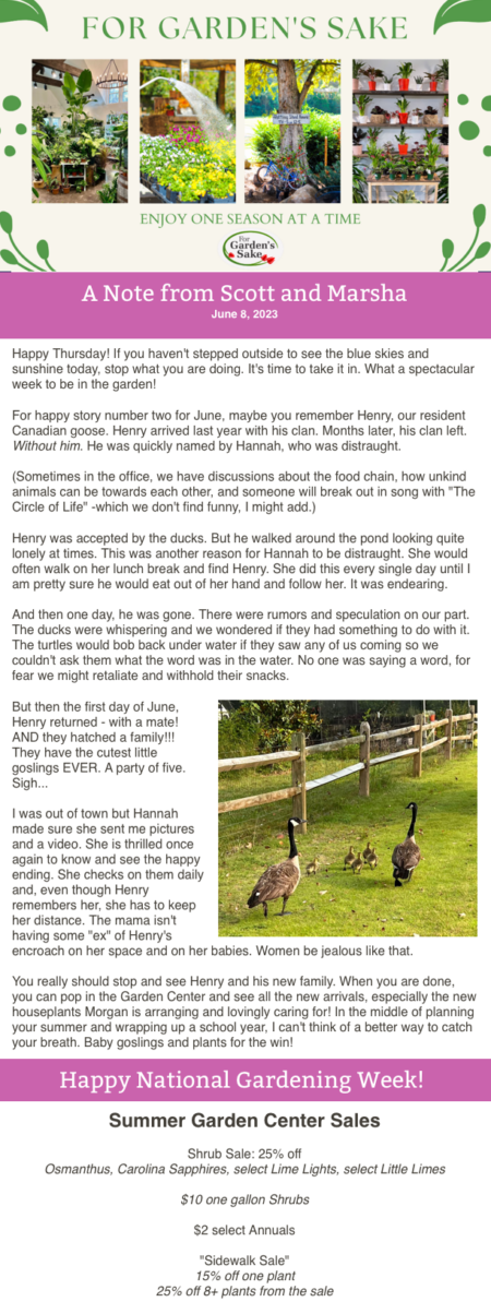 What is a Newsletter? Definition, examples and best practices