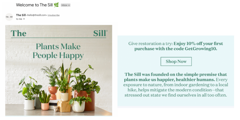 Ecommerce Email Marketing Strategy: Best Practices & Examples