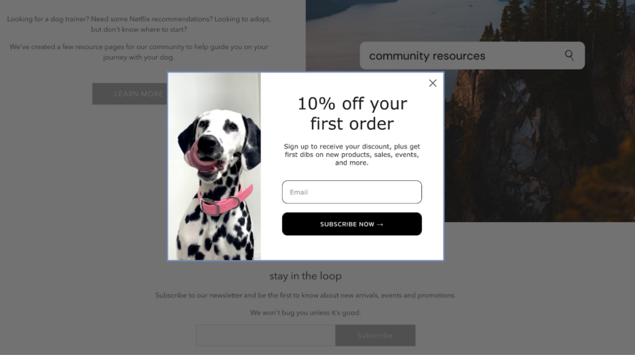 19 Newsletter Sign Up Examples: Designing Forms that Convert