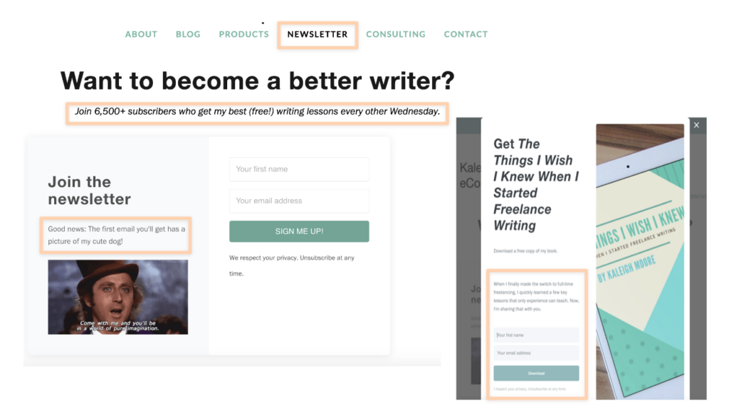 19 Newsletter Sign Up Examples: Designing Forms that Convert