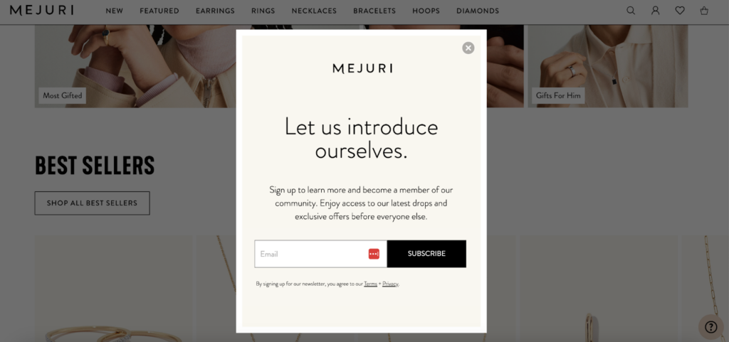 19 Newsletter Sign Up Examples: Designing Forms that Convert