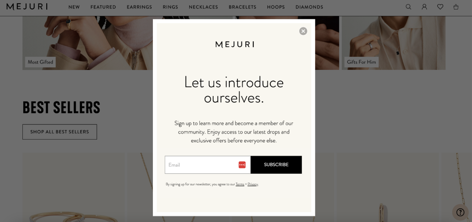 19 Newsletter Sign Up Examples: Designing Forms that Convert