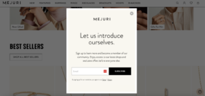 19 Newsletter Sign Up Examples: Designing Forms that Convert