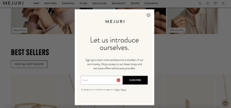 19 Newsletter Sign Up Examples: Designing Forms that Convert